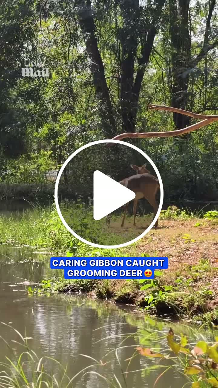 Nature truly is amazing #viral #animals #wildlife #fblifestyle - NewsBreak