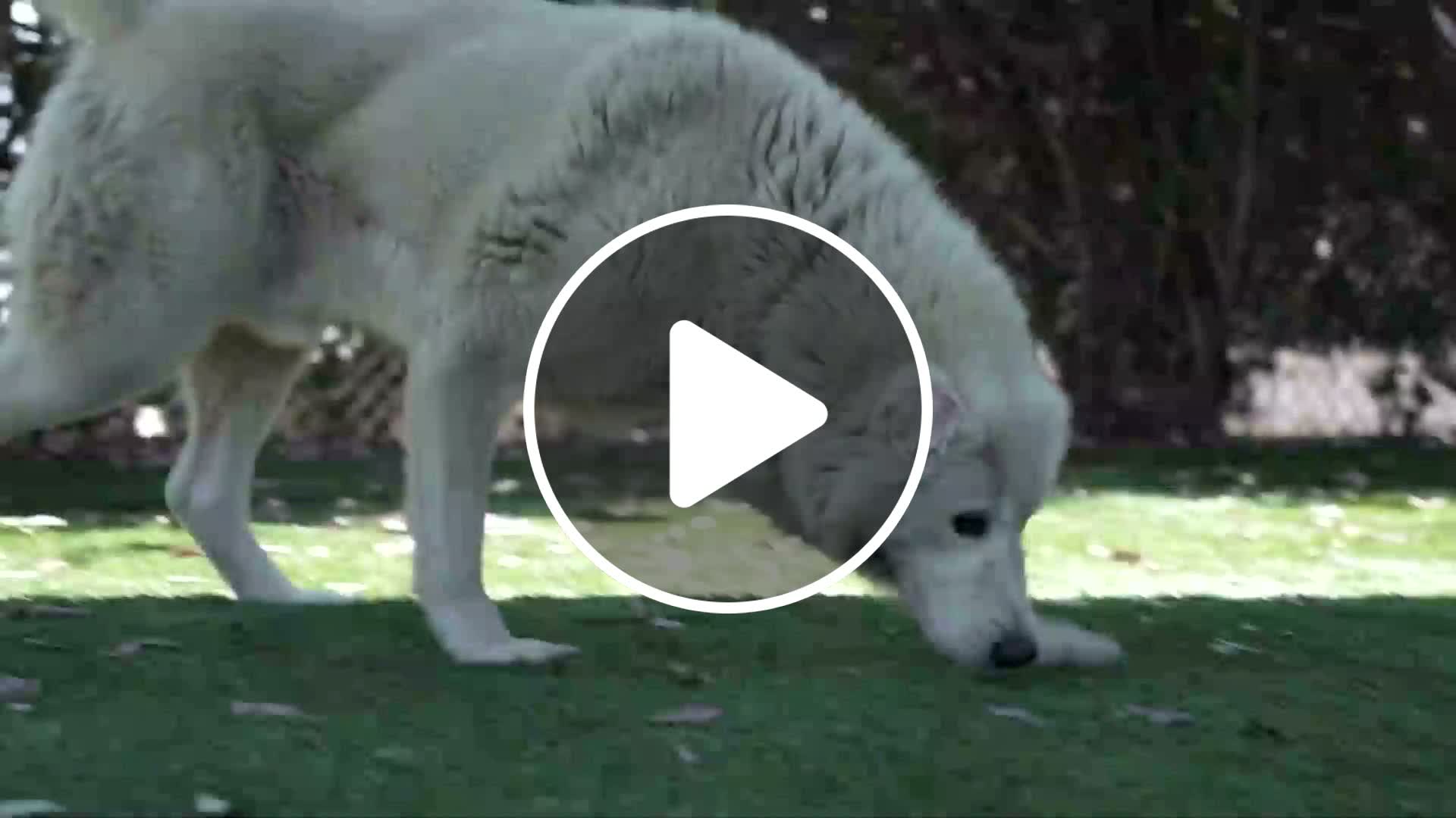 WEATHER TO WATCH: Weekend nor'easter sets a close call for New Jersey ...