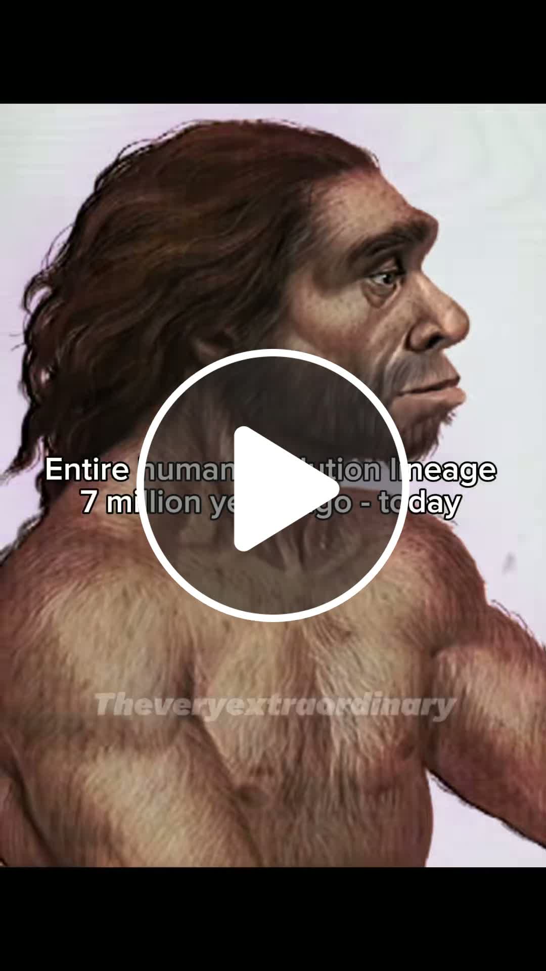 Stay till the end to see the full human evolution lineage From apelike creatures to Neanderthals ...