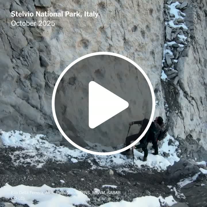 Photographer Finds More Than 2 000 Dinosaur Footprints in the Italian ...