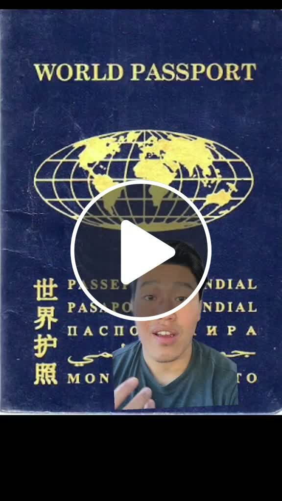 A booket produced by a private organization and NOT a passport # ...