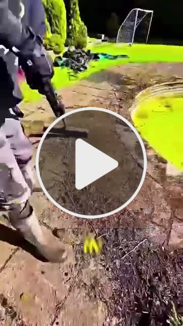 Fix Dirty Swimming Pool - NewsBreak