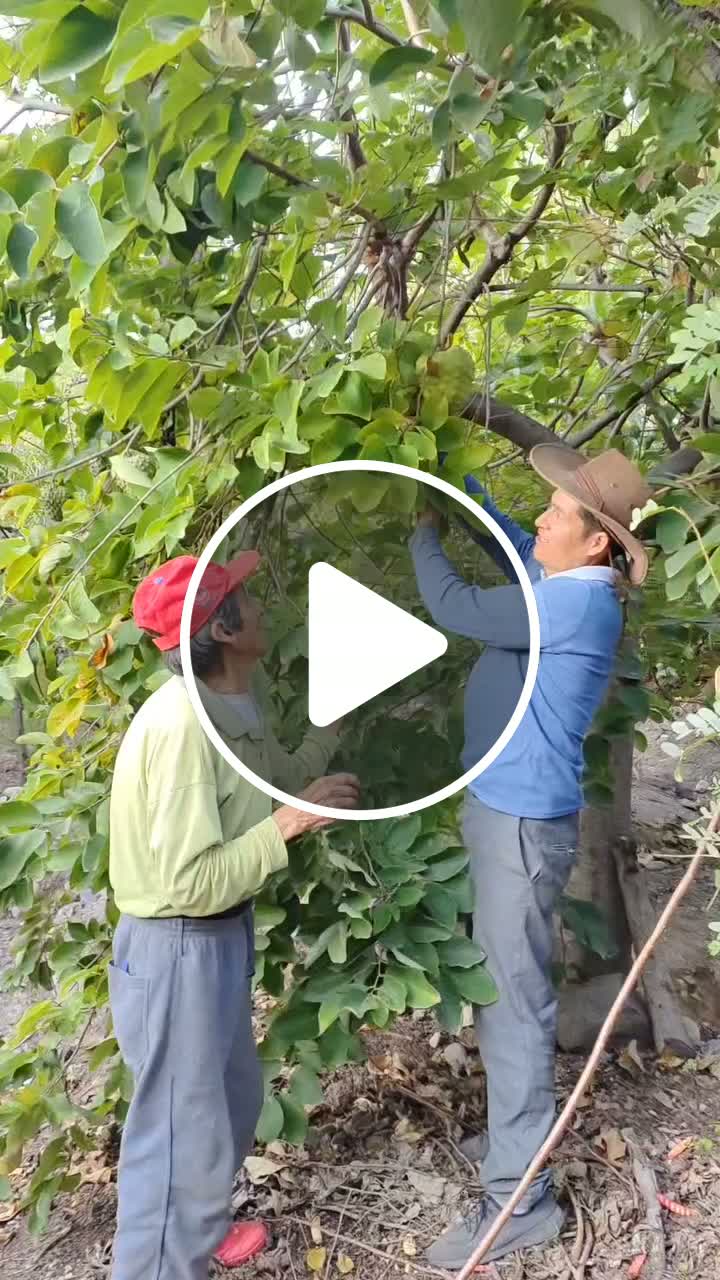 Elizabeth Warren slams Trump in speech, then he calls her, and what she ...