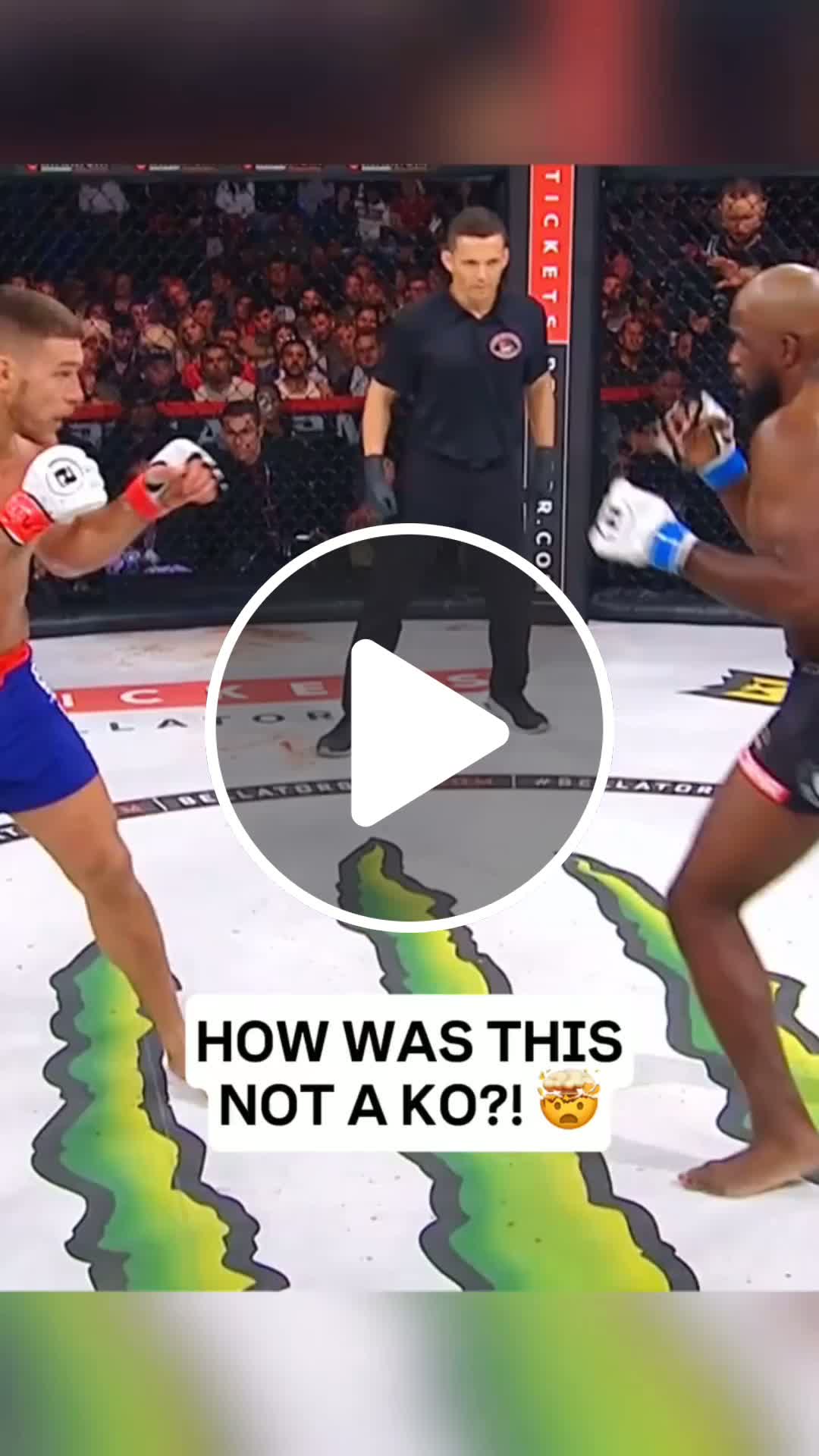 *That's a KO Kick*#sports#fight#mma#wow - NewsBreak