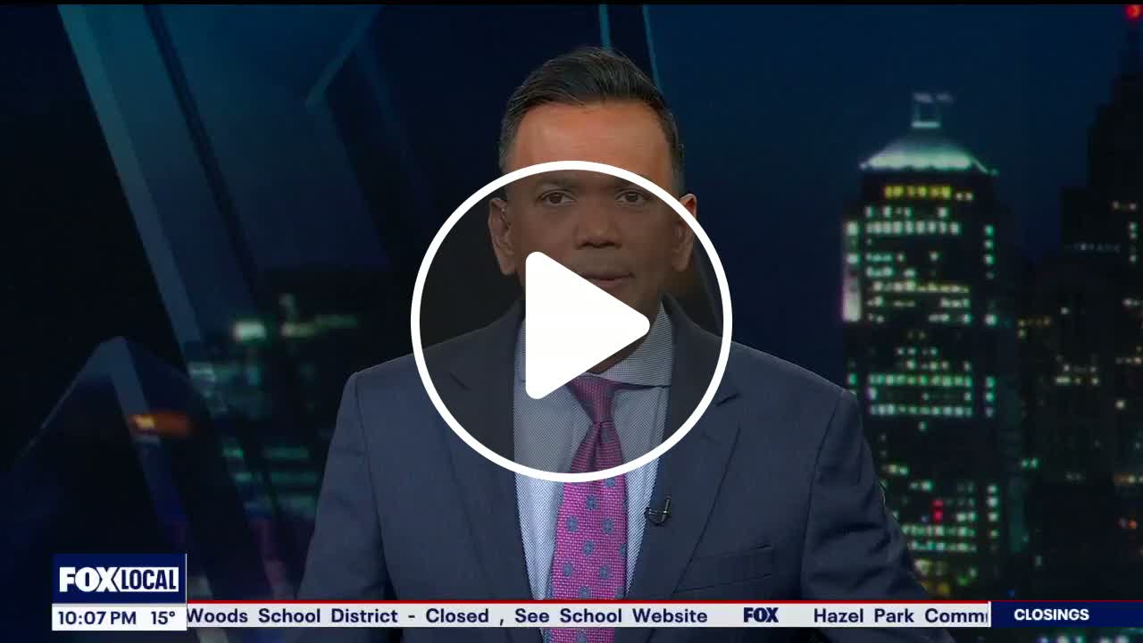 Man lied about being CEO of Michigan company after viral anti-ICE video ...