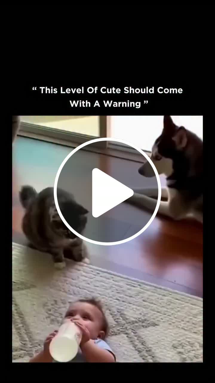 too cute is not allowed - NewsBreak