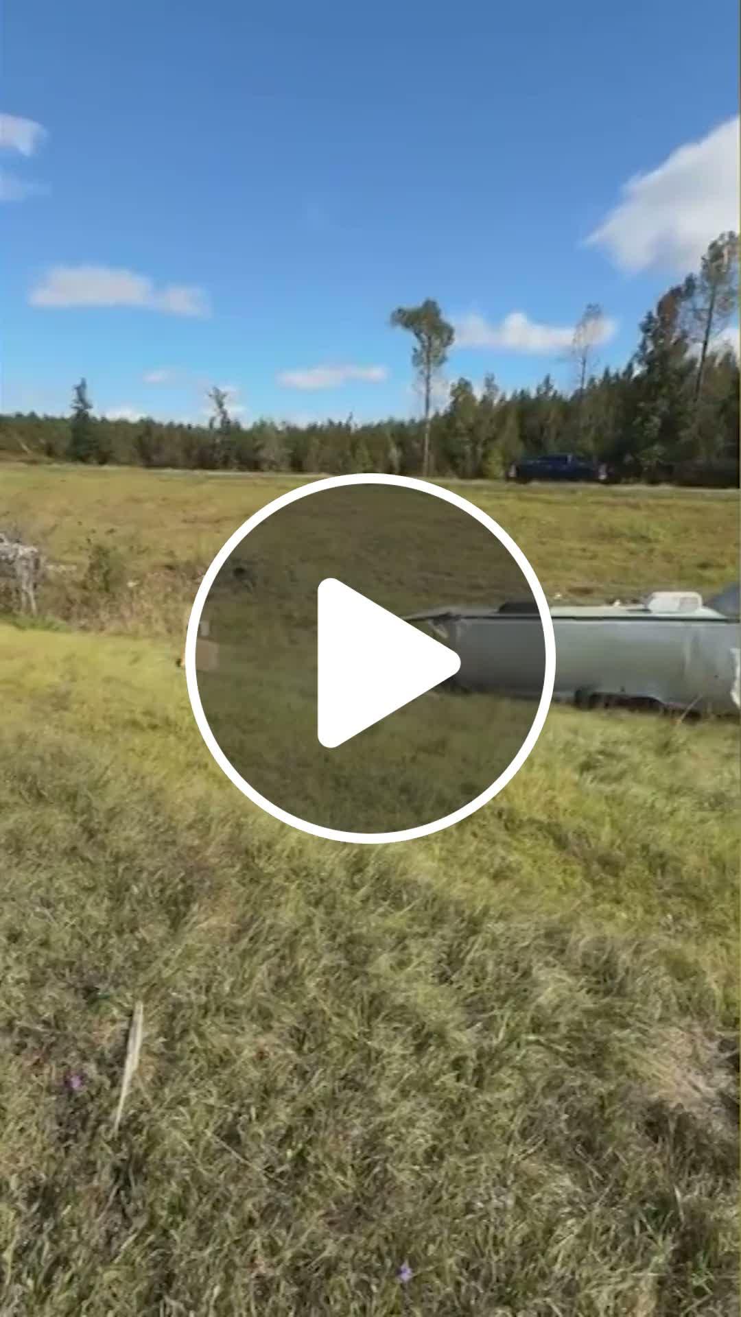 Escaped monkeys cause chaos after transport truck accident in ...