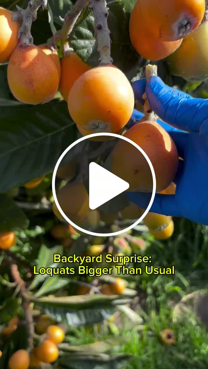 Mob storms Minnesota church during worship to target pastor they say ...