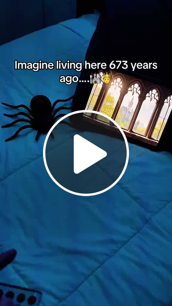 This is amazing 😻 - NewsBreak