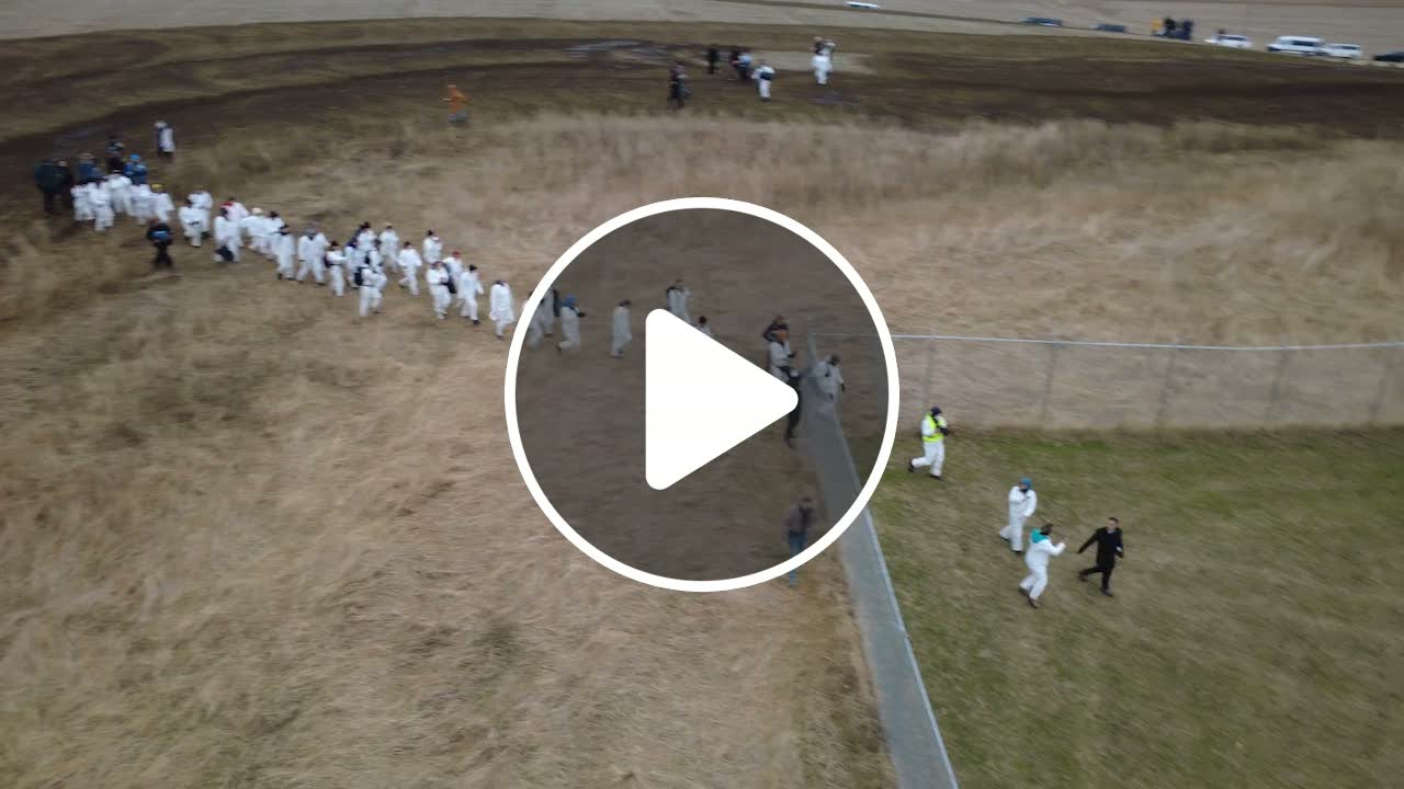 Animal rights activists storm Wisconsin beagle farm and take 23 dogs ...