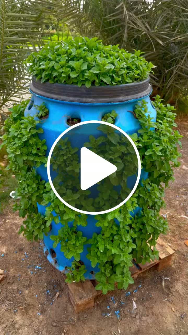 Fox News viewers slam Trump as 'biggest narcissistic psychopath' after ...