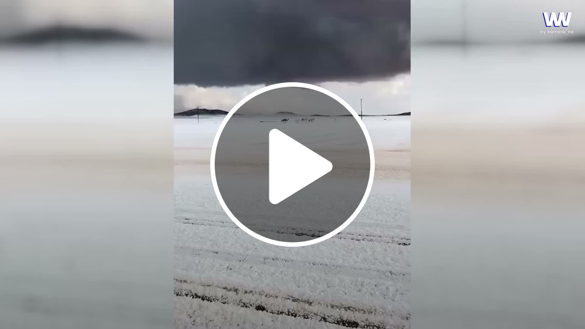 Extremely rare snowfall blankets desert in Saudi Arabia for first time ...