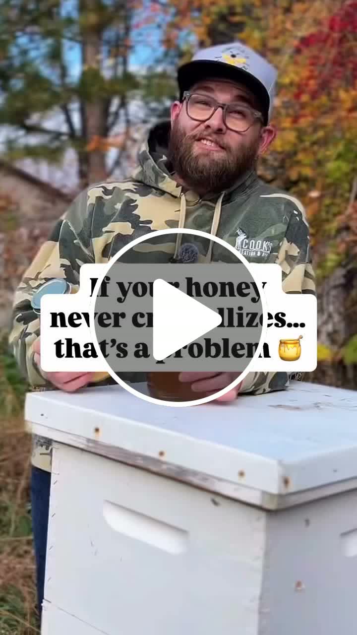 wait for it - NewsBreak