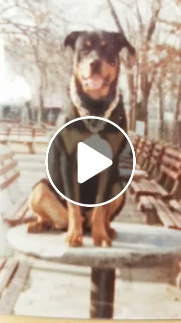 Old school hood legends - NewsBreak