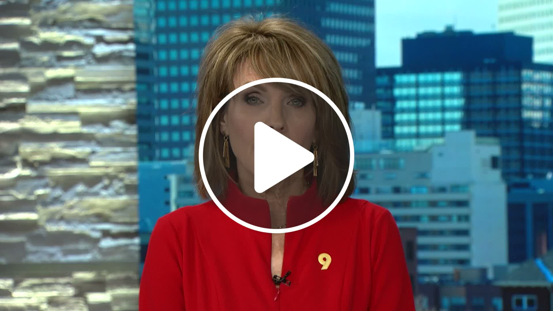 No new wolf releases planned for this season, CPW says - NewsBreak