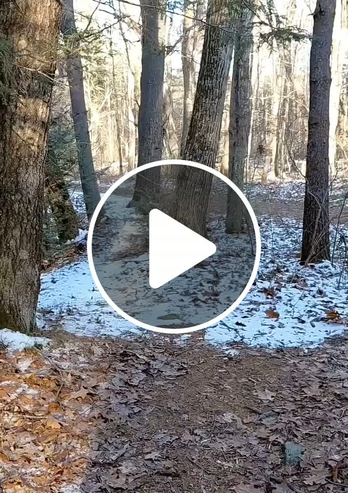 The 76-year-old musician was wrapping up an 11-minute interview with Scripps News ancho - NewsBreak