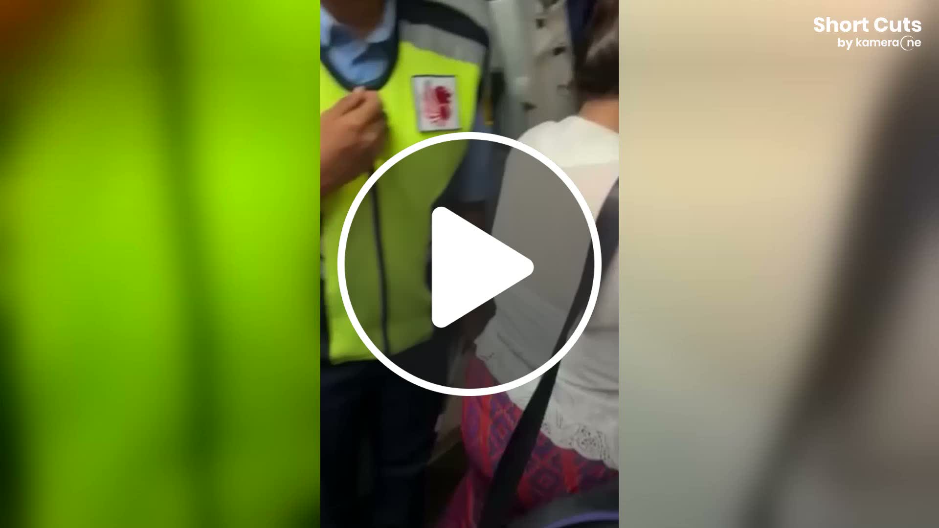 Real-life 'Catch Me If You Can' imposter posing as air hostess kicked ...