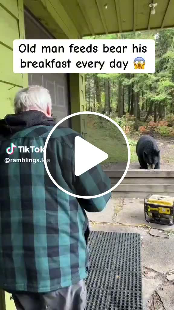 He feeds the bear breakfast every morning and the bear shows up like ...