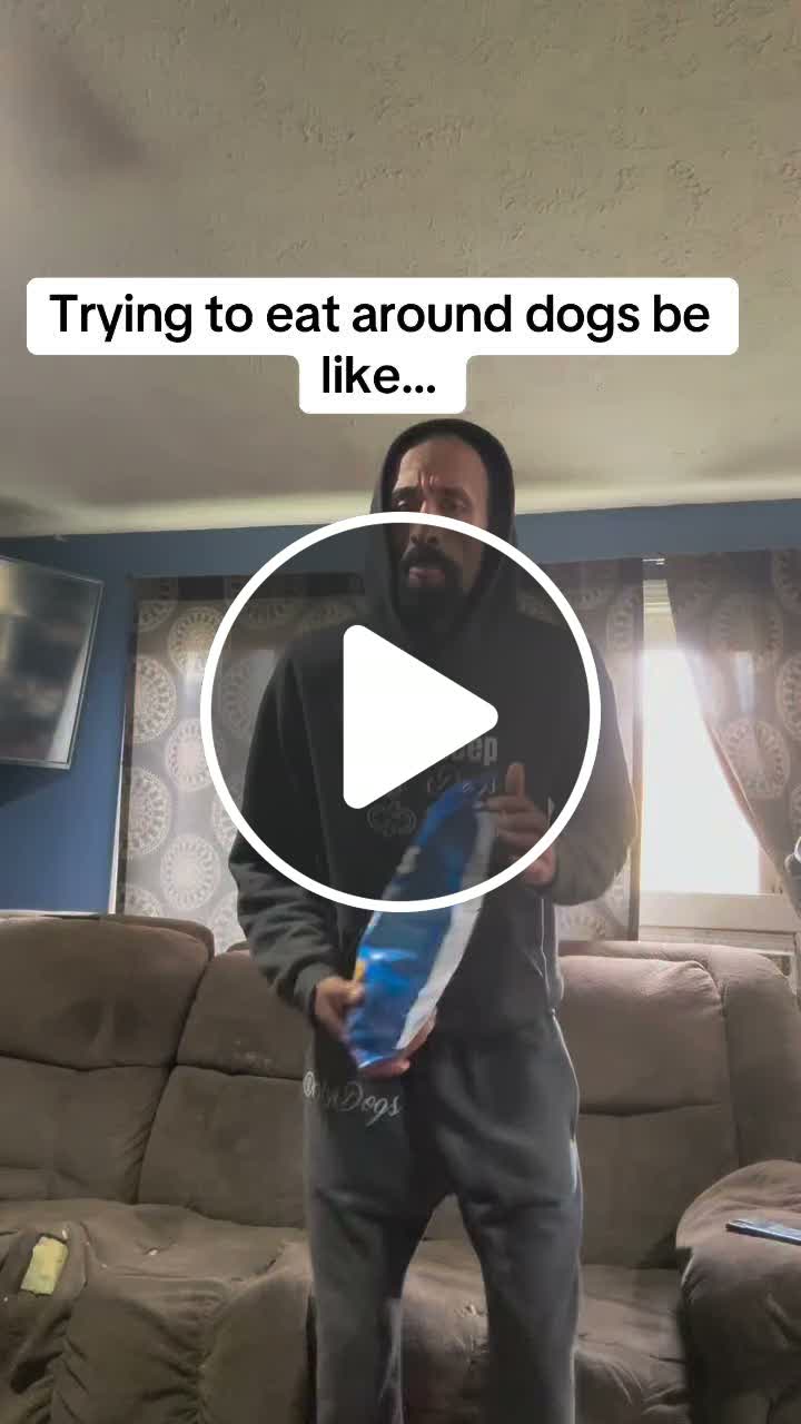 trying to eat around dogs be like 🤣🤣 - NewsBreak