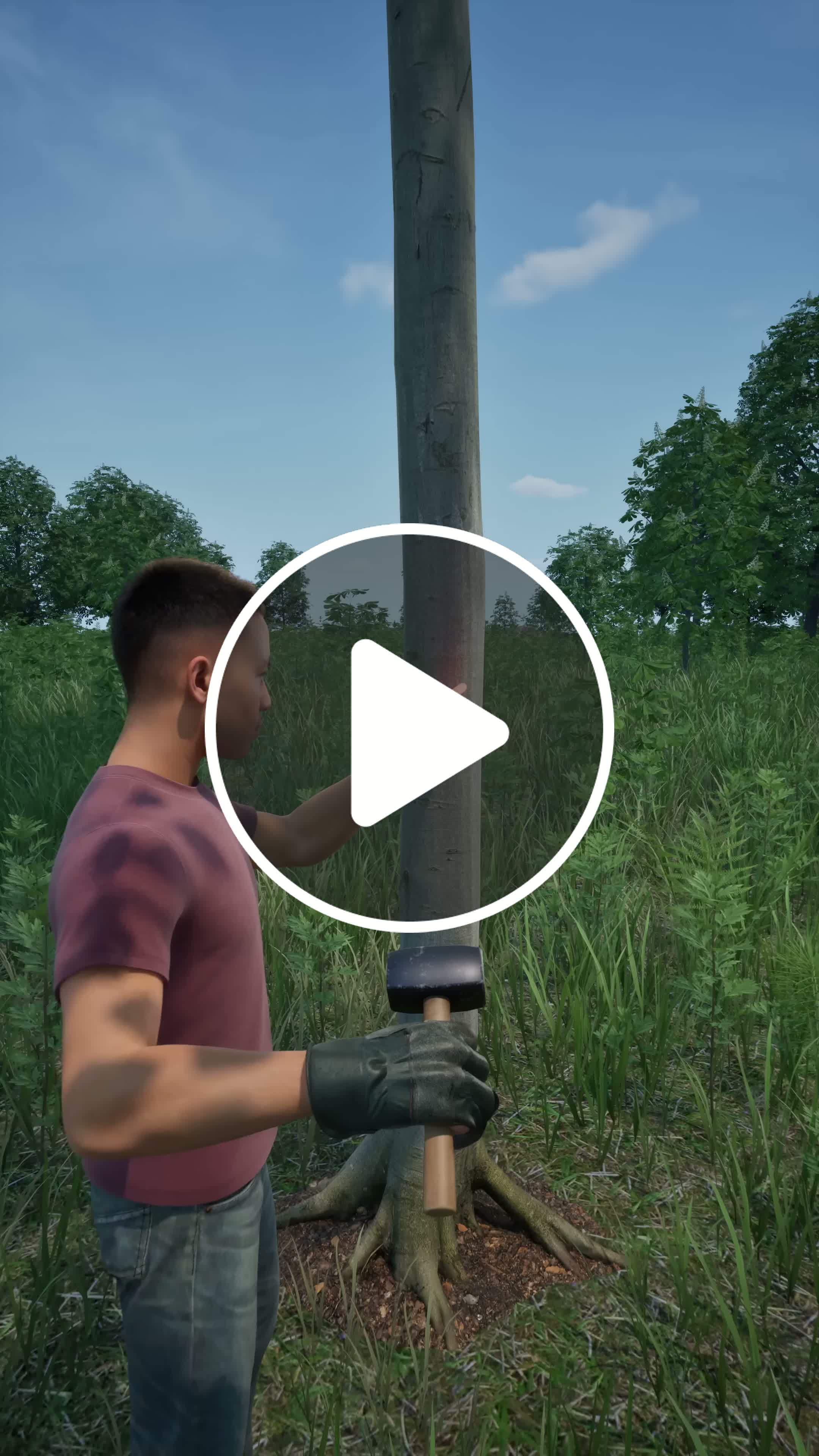 How This Expensive Wood Is Made - NewsBreak