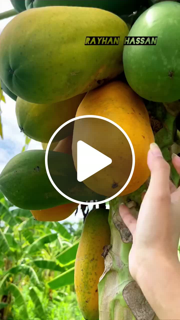 woman demanded a late-night McDonald’s meal, and the staff’s bizarre ...