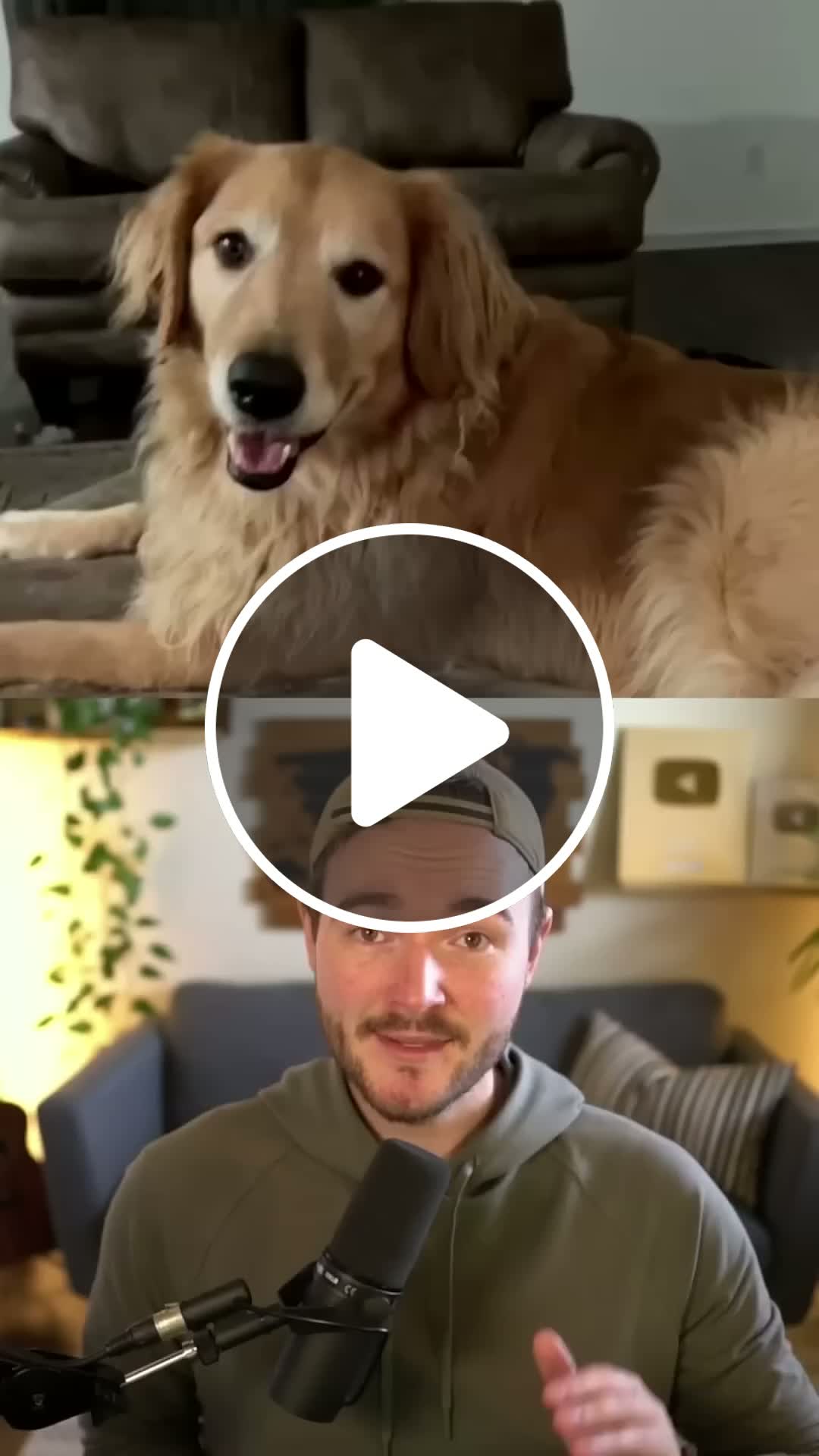 Accidentally saying The R Word 💀 - NewsBreak