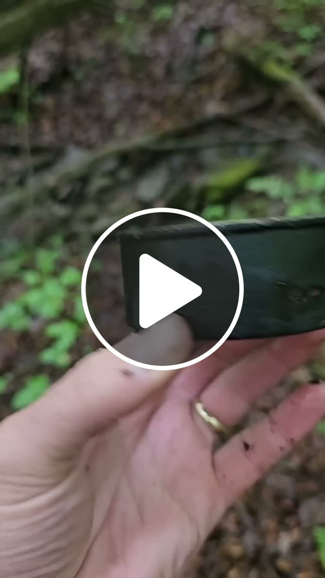 Making a Cook Stove Torch with Pine Resin (aka sap) and Cattail Fluff ...