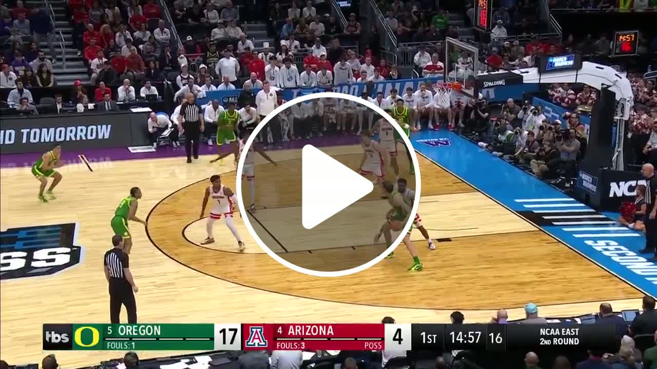 Ducks are flying early! - NewsBreak