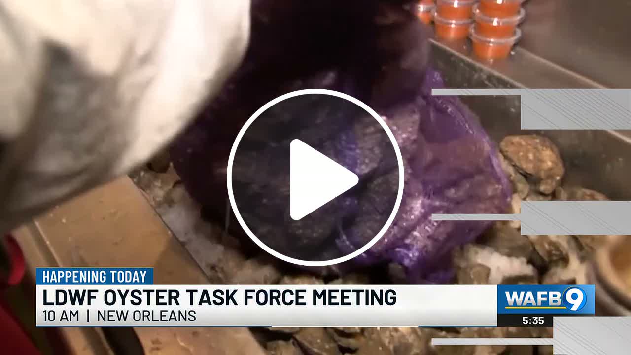 Funding to reinstate 2 deputy constable positions to be introduced ...