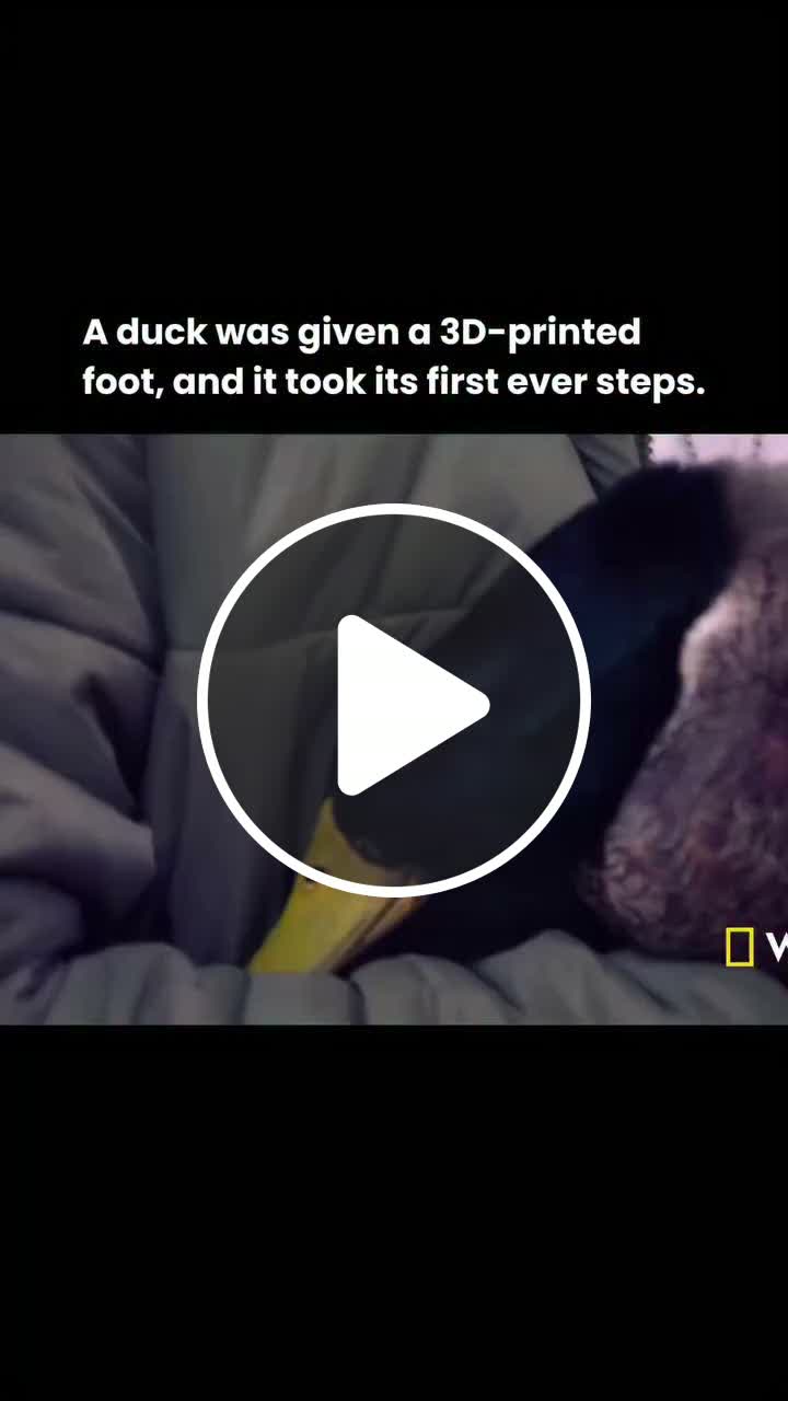 NASCAR legend and Greg Biffle's friend shares theory on fatal plane ...