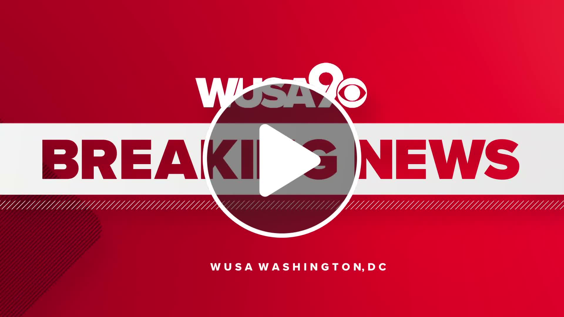 DNC, RNC pipe bomb suspect Brian Cole Jr. faces federal indictment ...