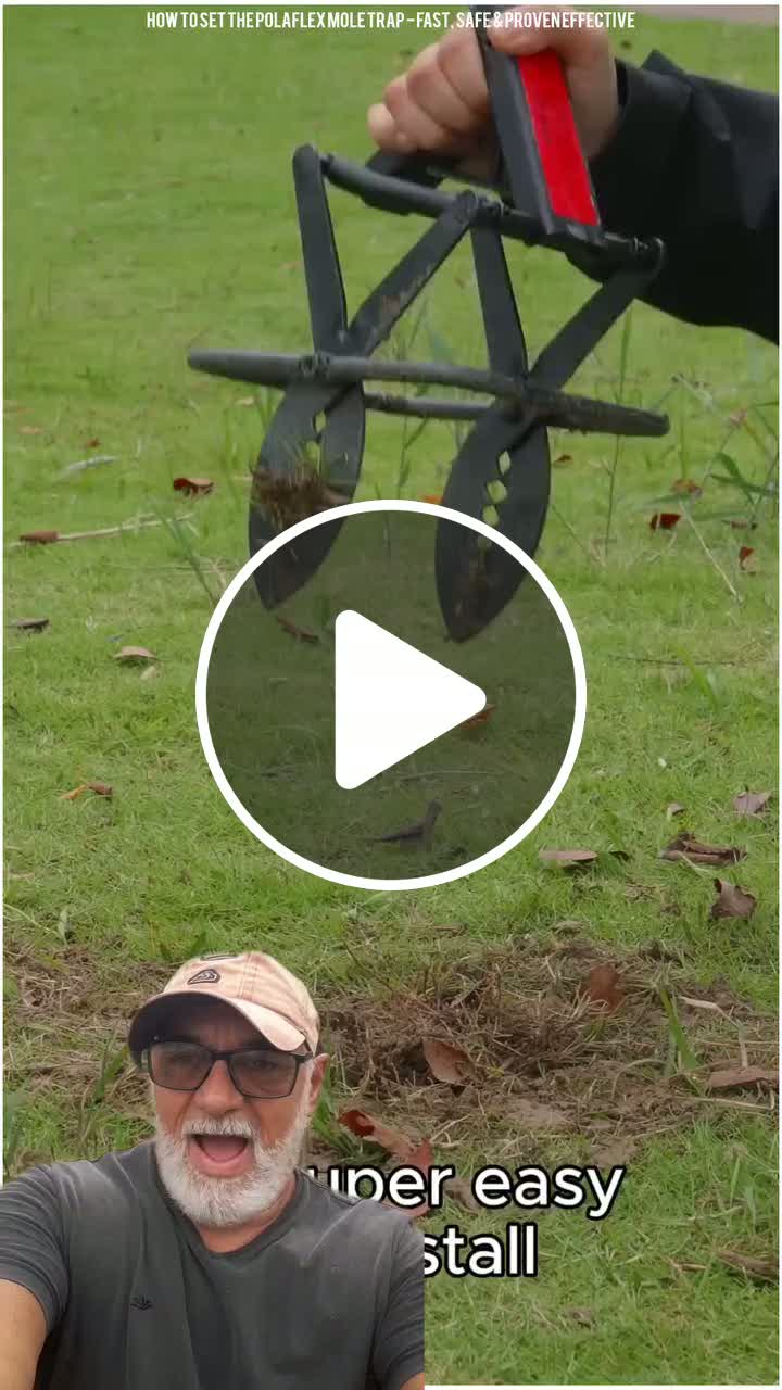 How to Set the POLAFLEX Mole Trap - Fast, Safe & Proven Effective 🥶 # ...