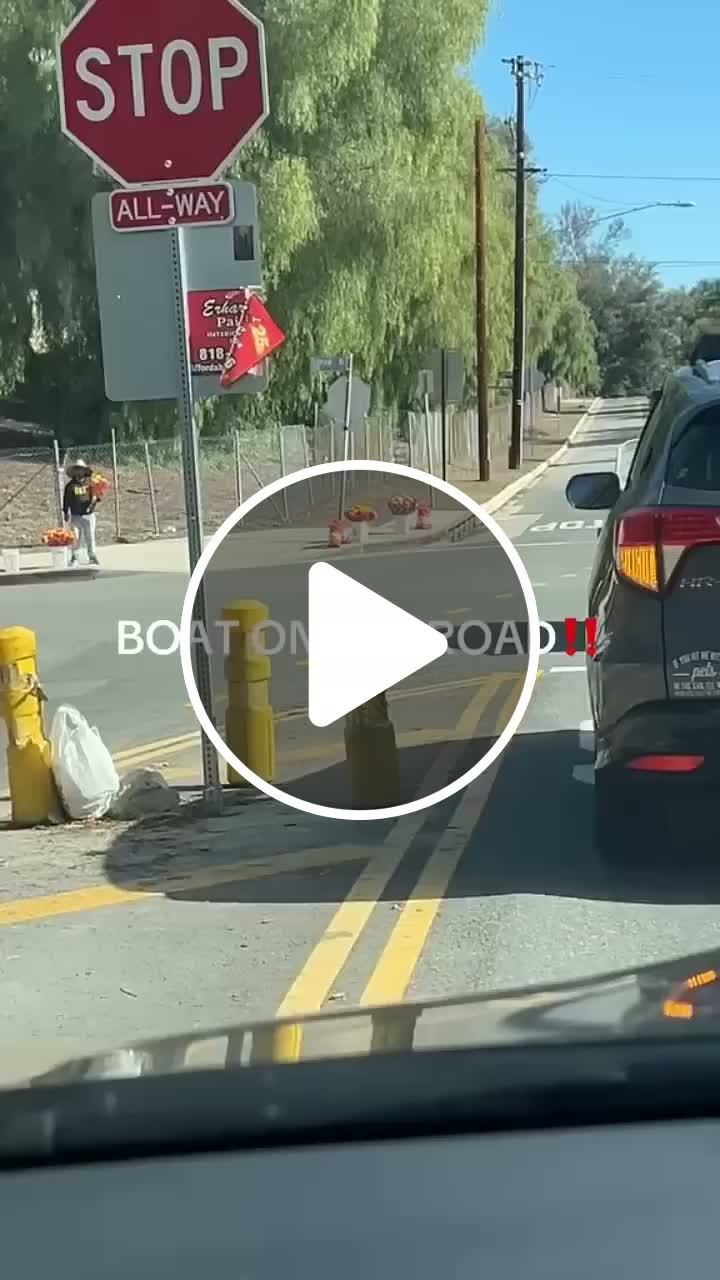 SpongeBob finally got his license (tiktok: courtneylorenzz) - NewsBreak