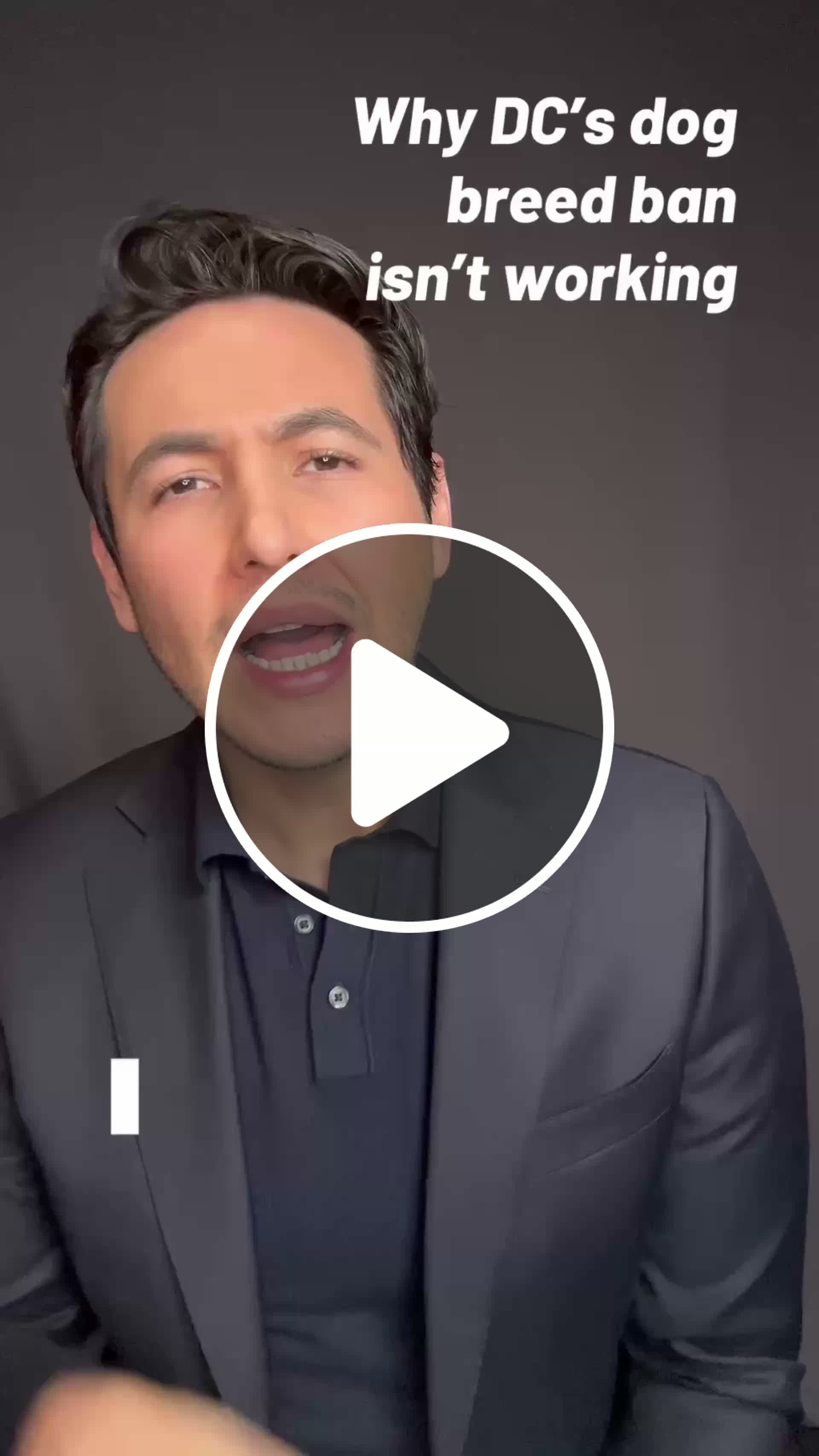 DC’s dog breed ban is not working, new bill says - NewsBreak