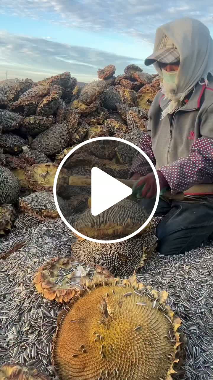 🤤 #fyp #favmovieclip #foryou #followme #firstvideochallenge # ...