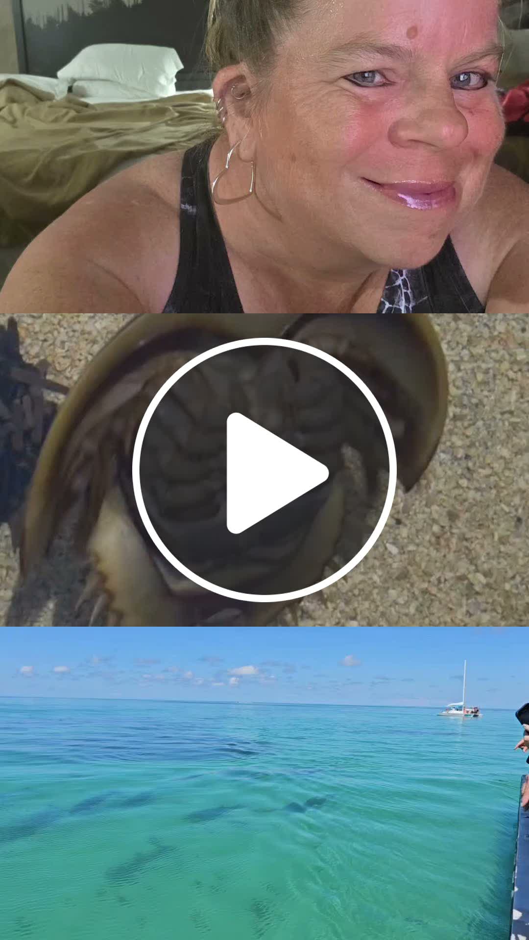 Best of 2025...Just a Few. #keywest #single #nature - NewsBreak