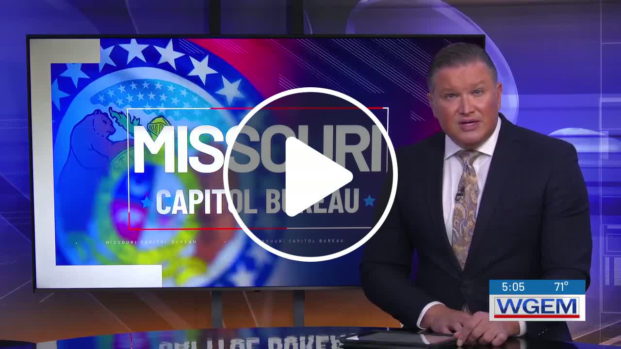 Jamaican national dogs - NewsBreak