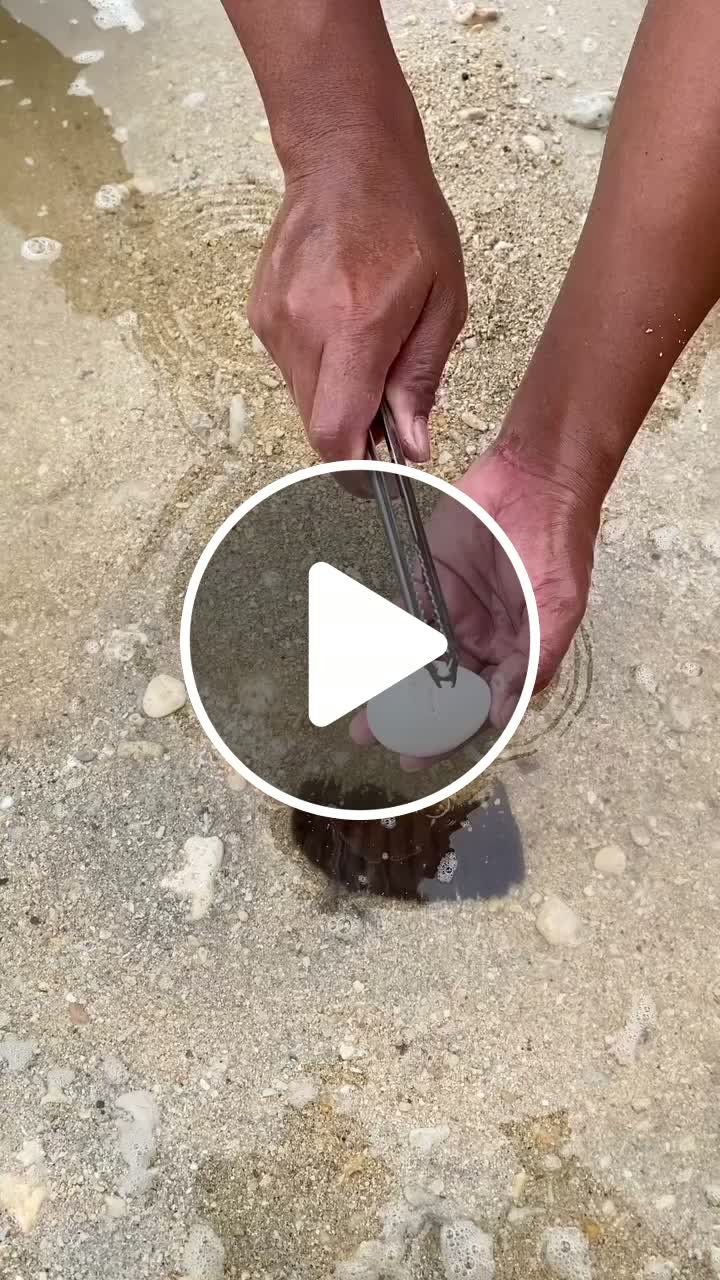 New technique in fishing - NewsBreak