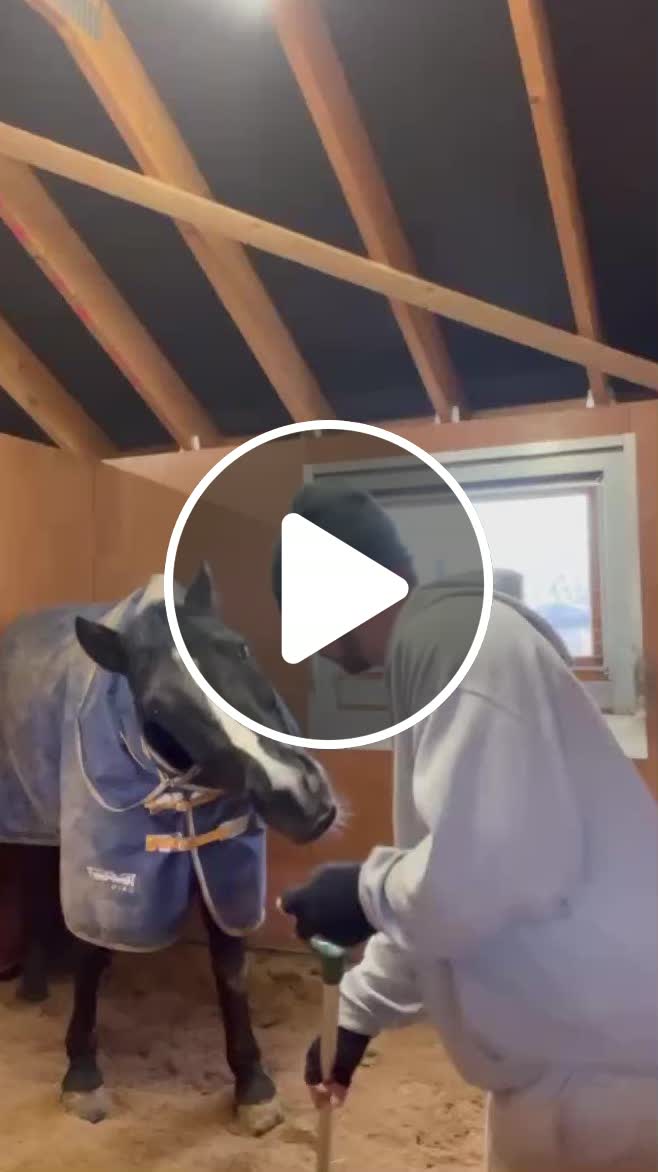 Loves a kiss🧡 - NewsBreak