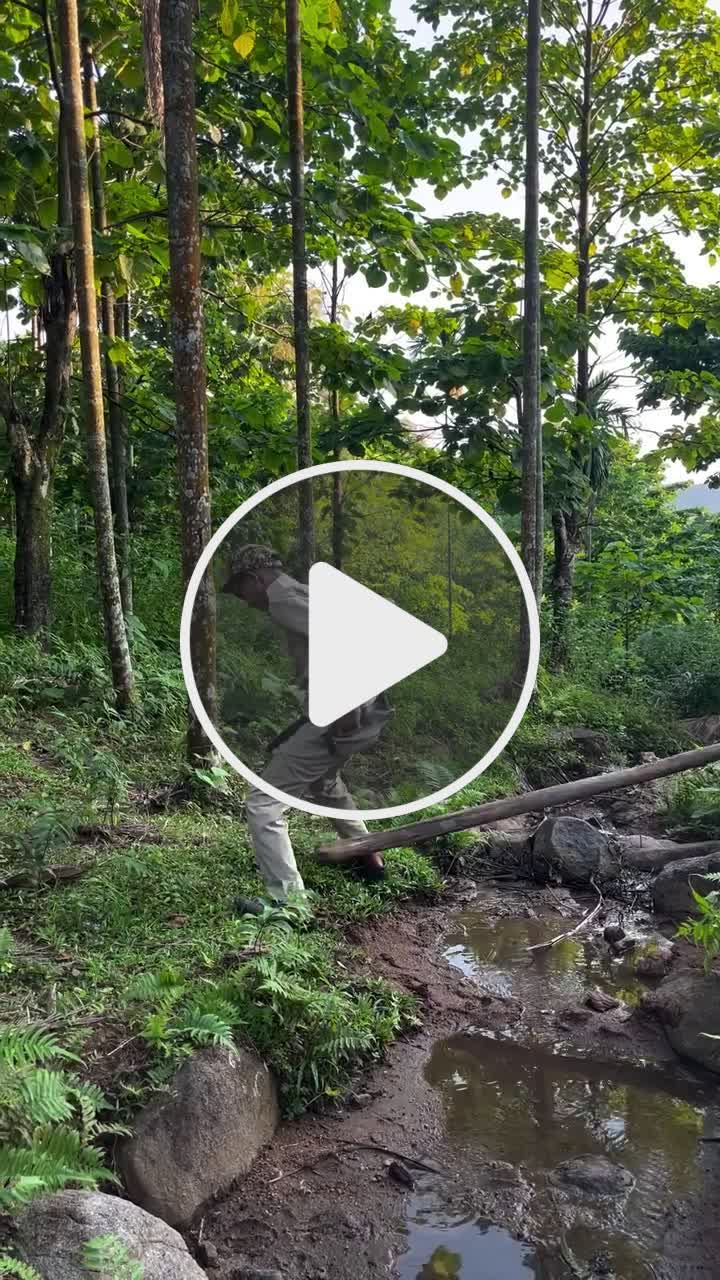 Watch What Happened Here - NewsBreak