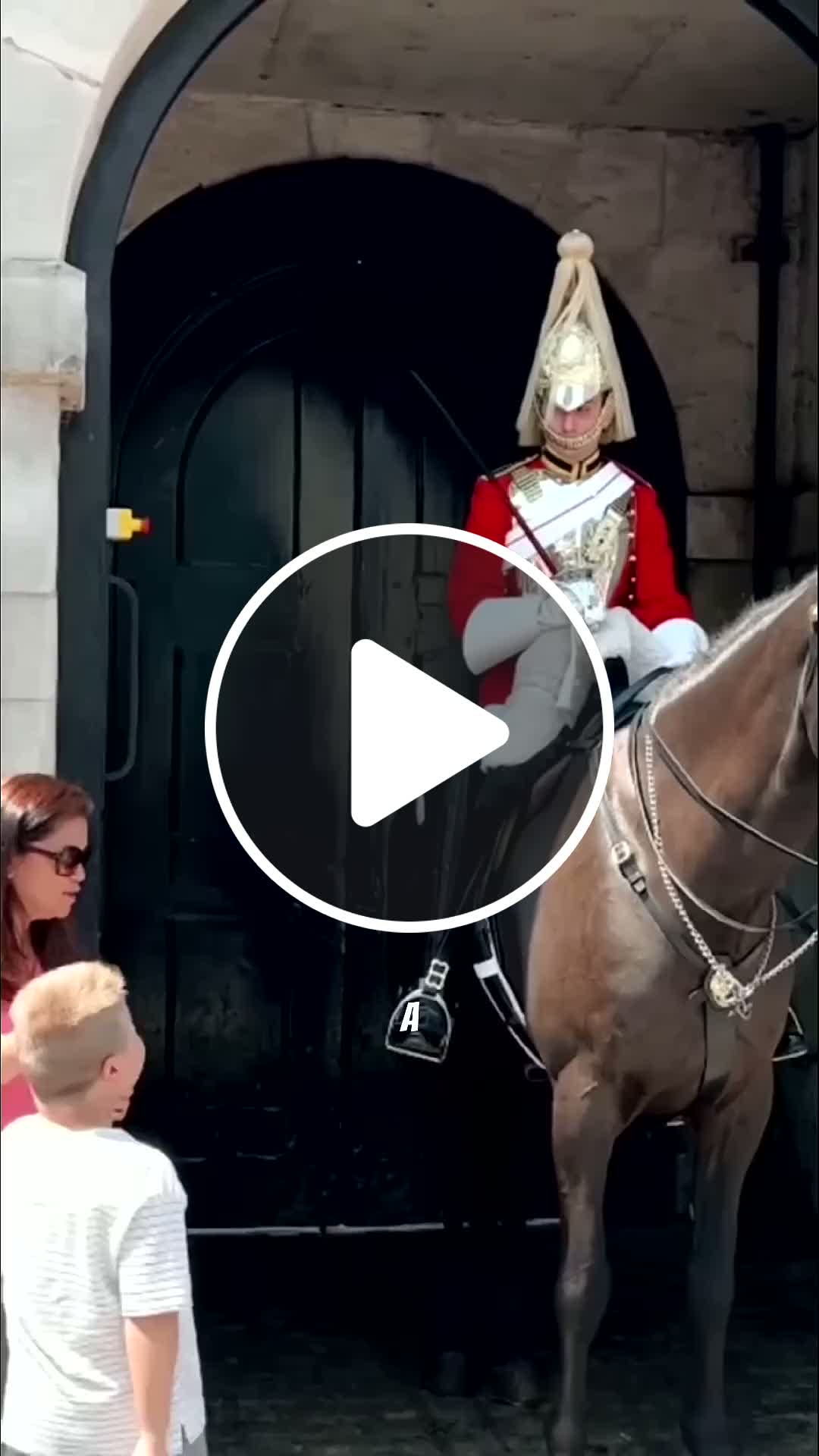 A Royal Guard’s Horse Comforted Him in the Sweetest Way ️🐴 - NewsBreak