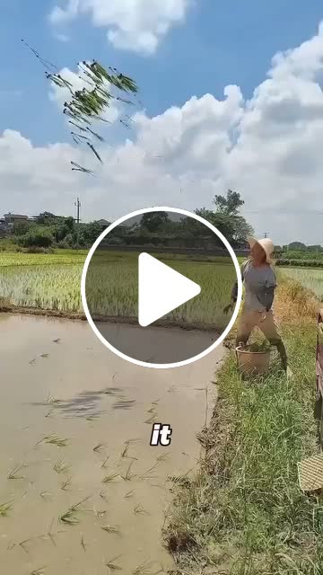 The Smartest Farm Invention I've Ever Seen #FarmTok #Farming #Agricul ...