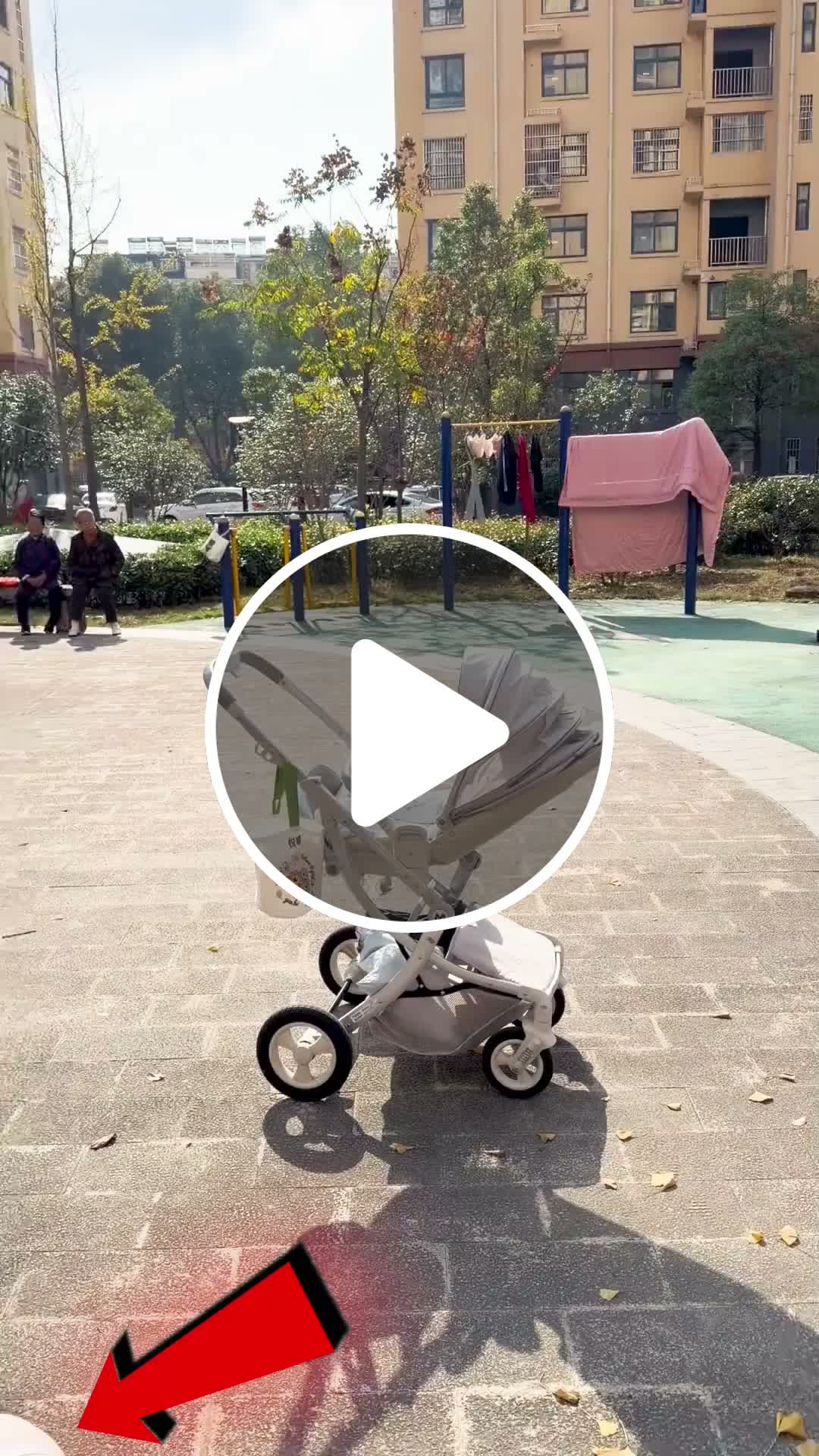 This Dog Treated a Balloon Like the Best Toy Ever 🎈🐶 - NewsBreak