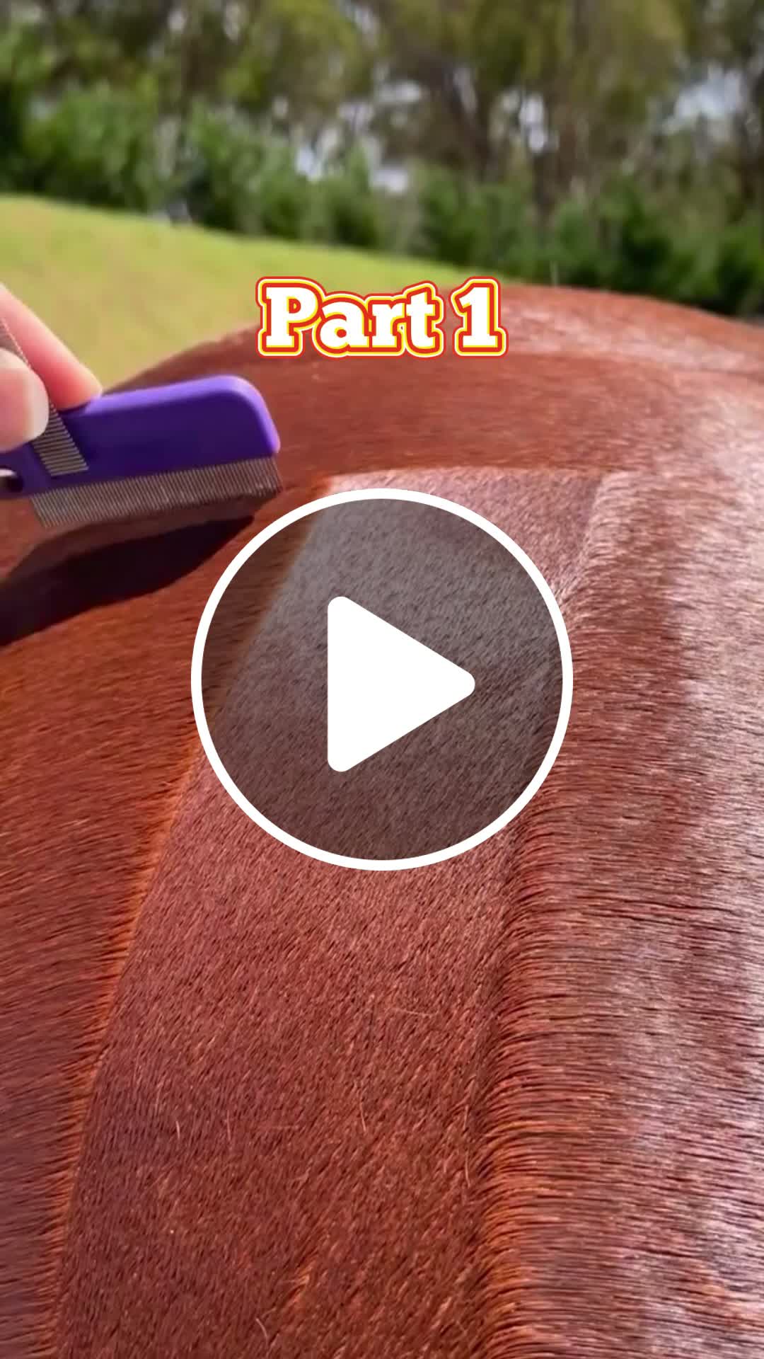 I just found out why my husband hides his best friend from me and # ...