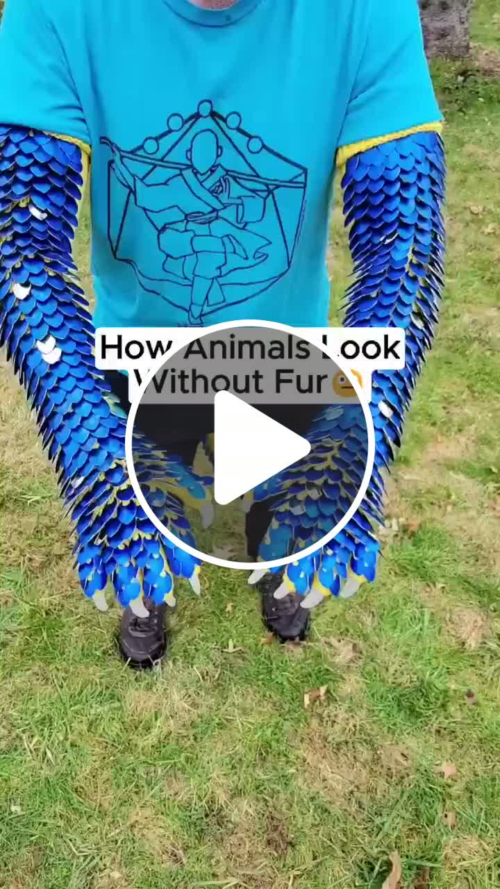 How animals look without fur - NewsBreak