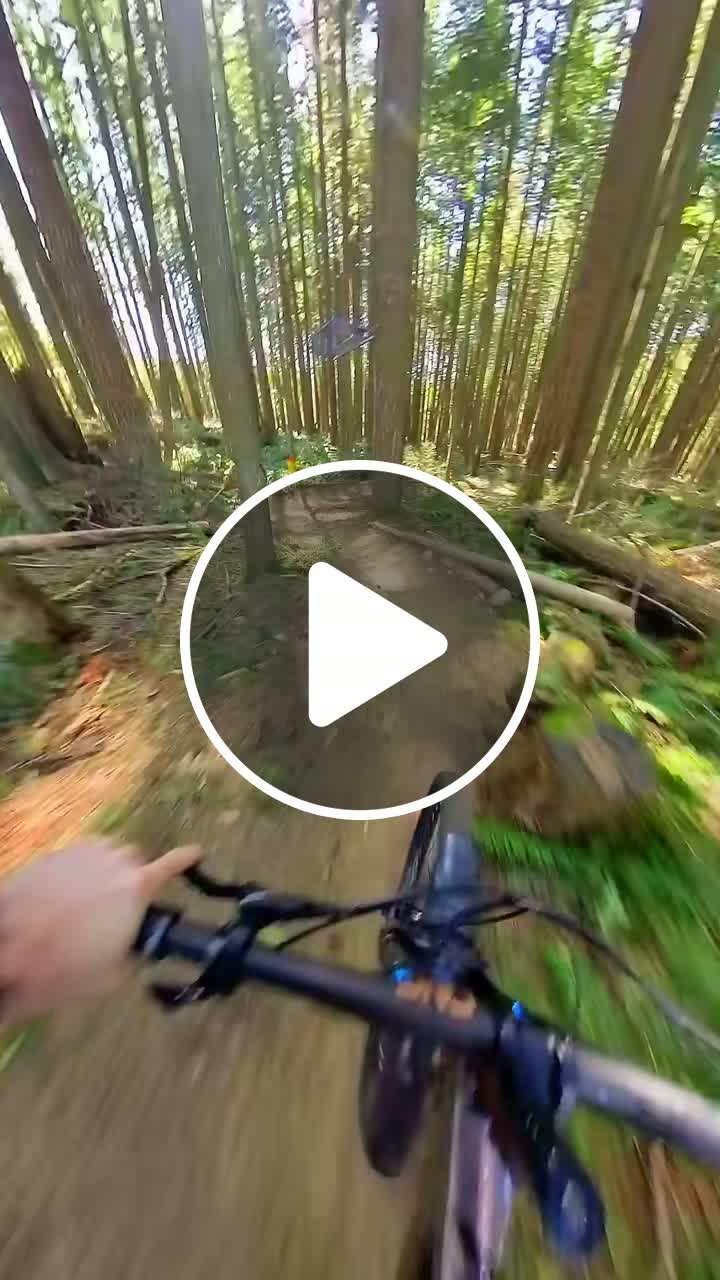 Trail Dwellin’ on my @Polygon bikes Siskiu T8 #mtb #mtblife #mtbforyou #polygonbikes - NewsBreak