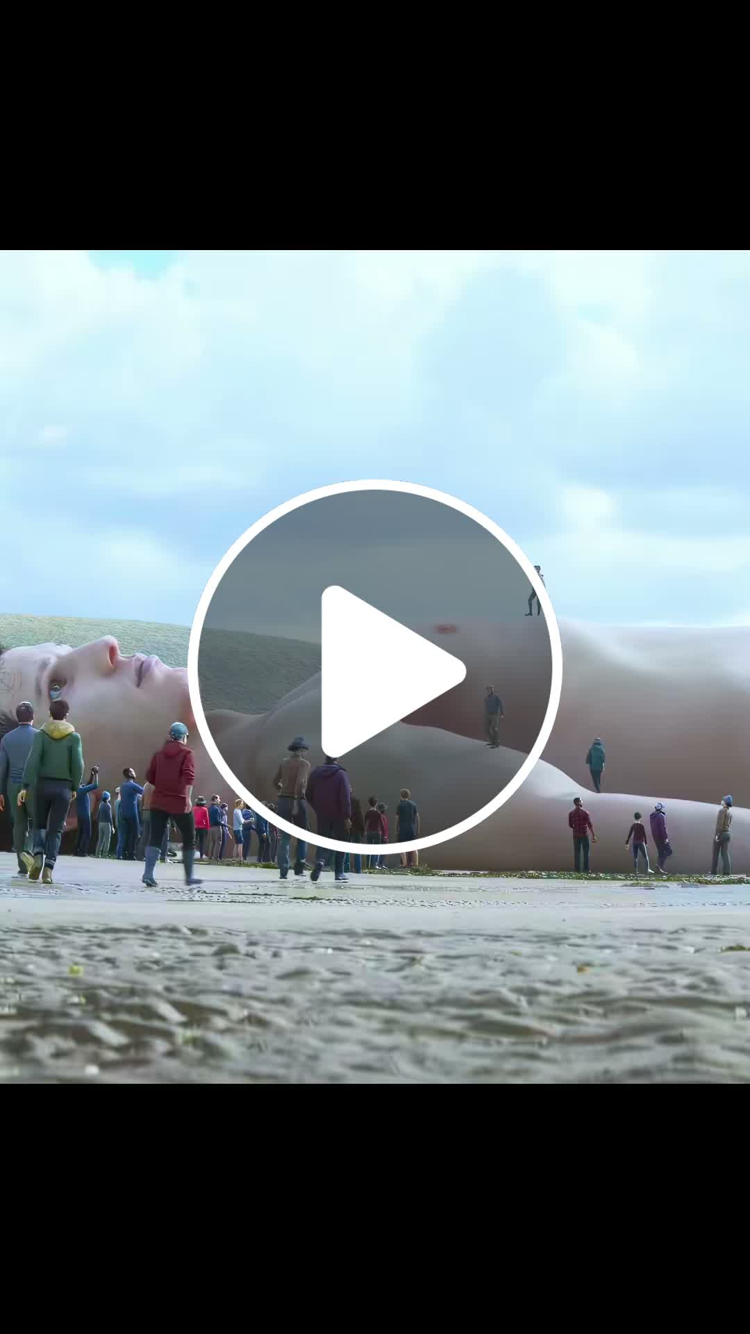 The body of a drowned giant was found on the beach - NewsBreak