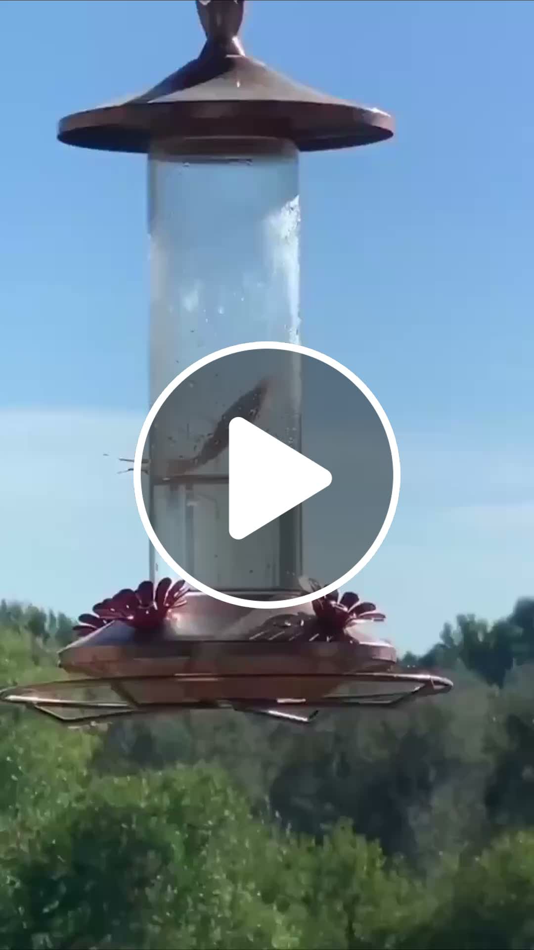 Wow 😮 #Nature #Birds #Bugs - NewsBreak