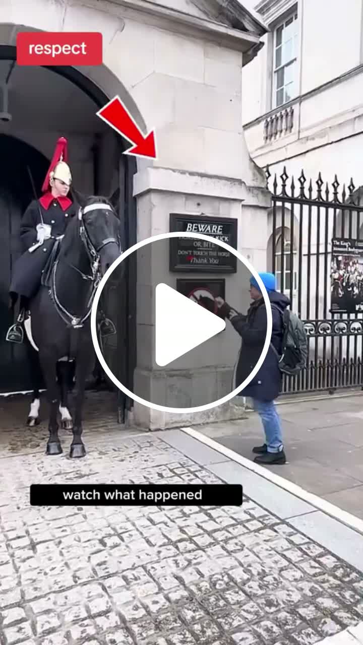 respect tourist 🙏 #horseguard #royalguard #tourist #peterellis # ...