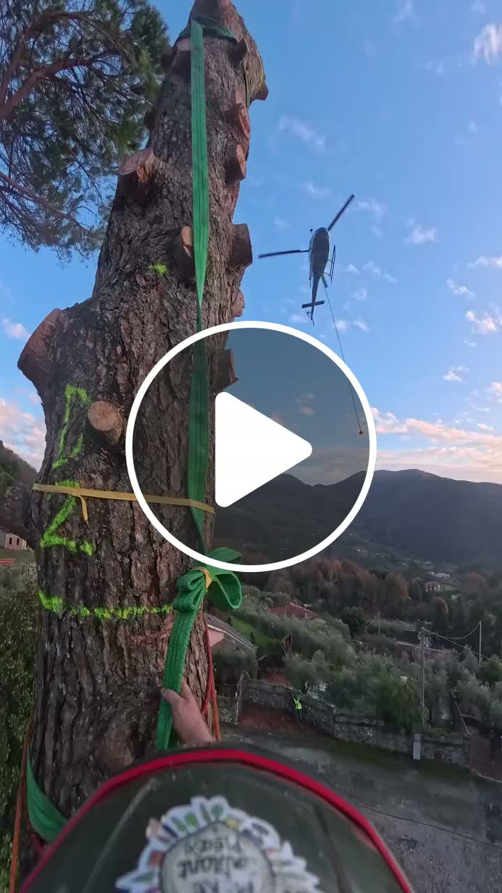 💥This hit harder than I expected, especially the end. #foryou #viral # ...